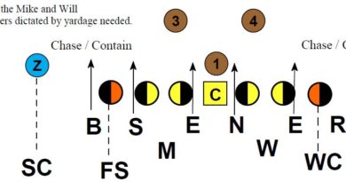 Understanding the 4-2-5 Defense