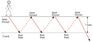Linebacker Drills and Techniques - Football Toolbox